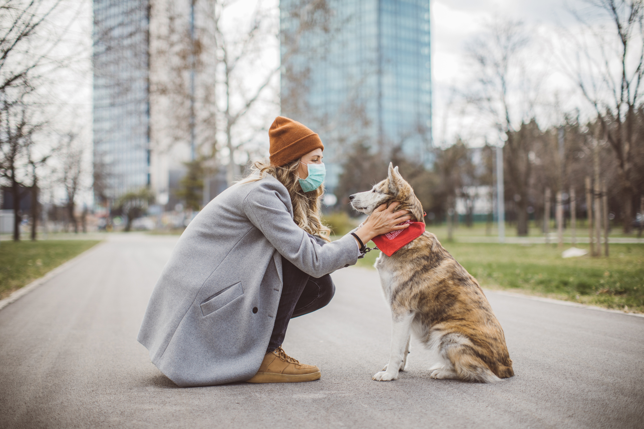 Tips For Keeping Your Pet Safe - GOOD HANDS Blog