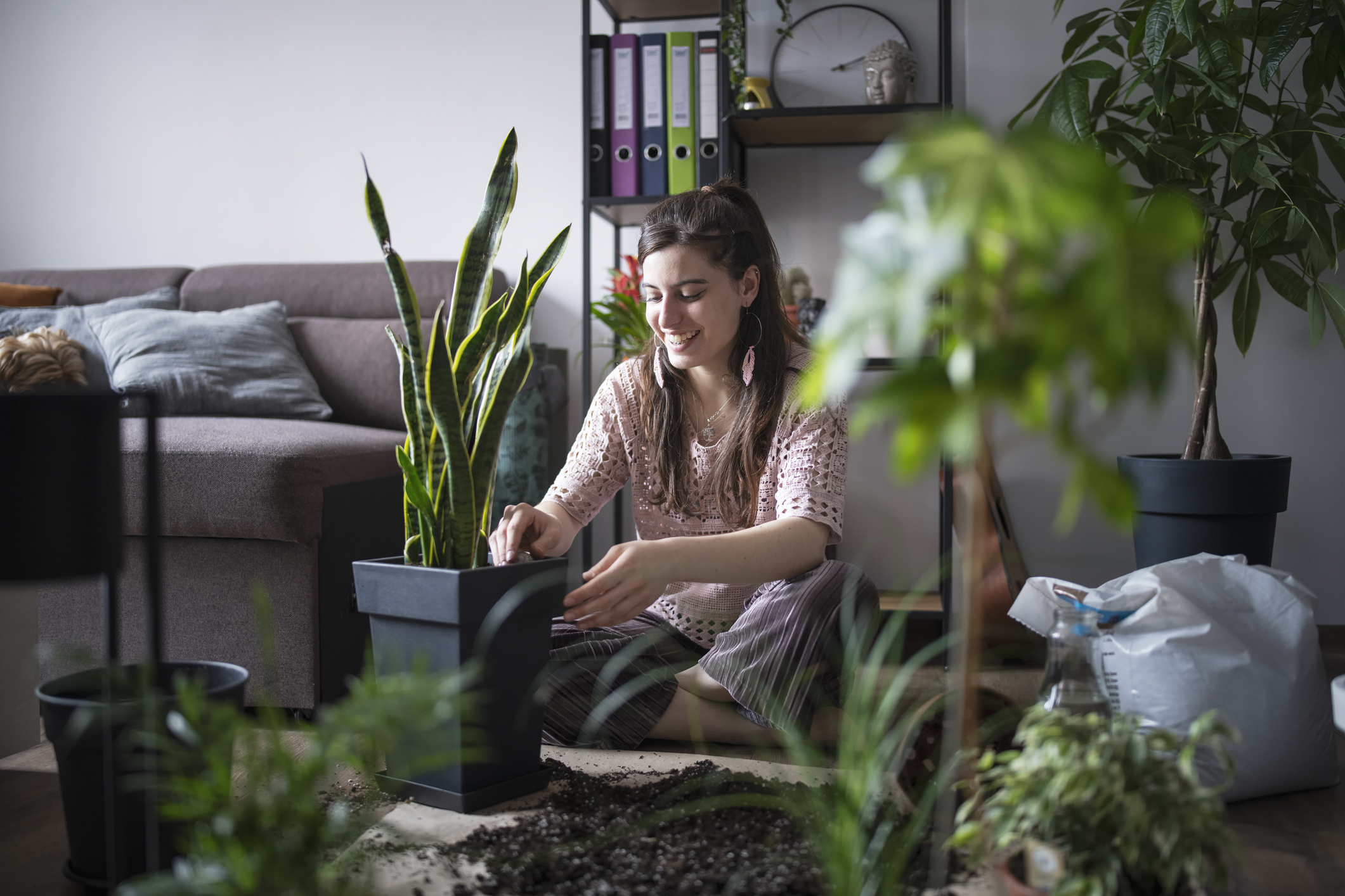 Santé et bien-être à la maison : améliorer la qualité de l’air - Blogue ...