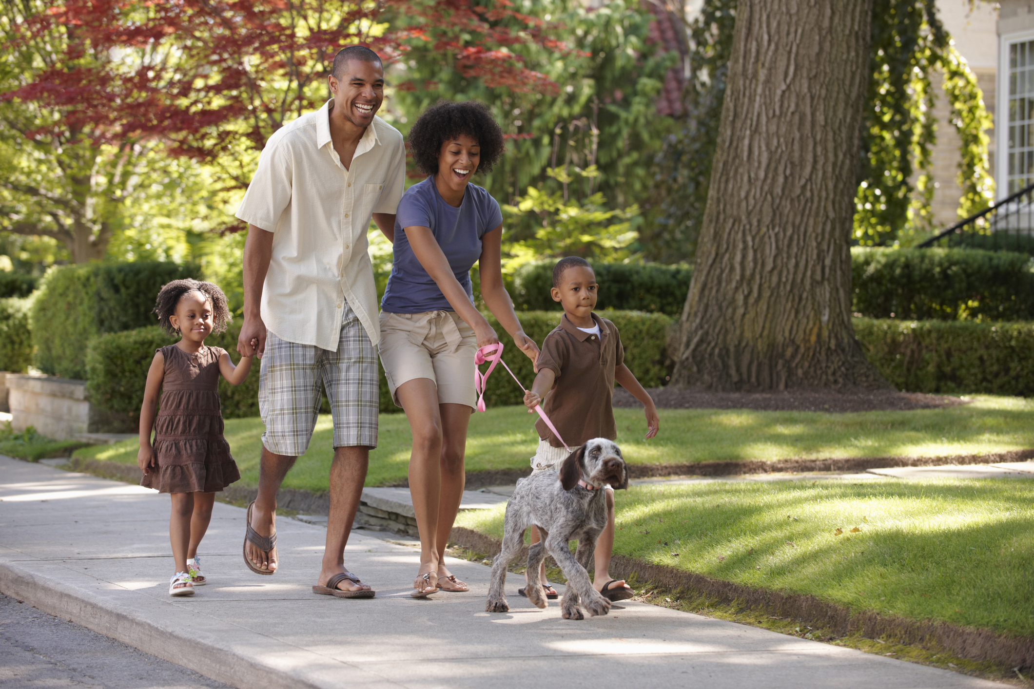 What Are the Steps Needed to Become a Responsible Pet Owner? - GOOD ...