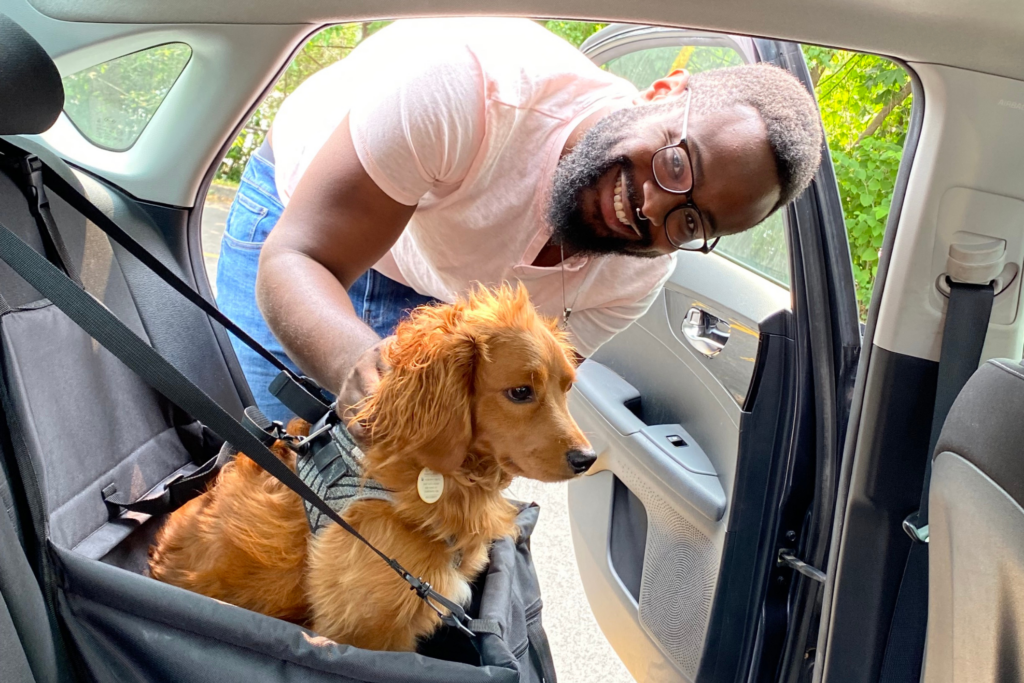 Precious Furry Cargo: Car Safety Tips For Your Pet - GOOD HANDS Blog